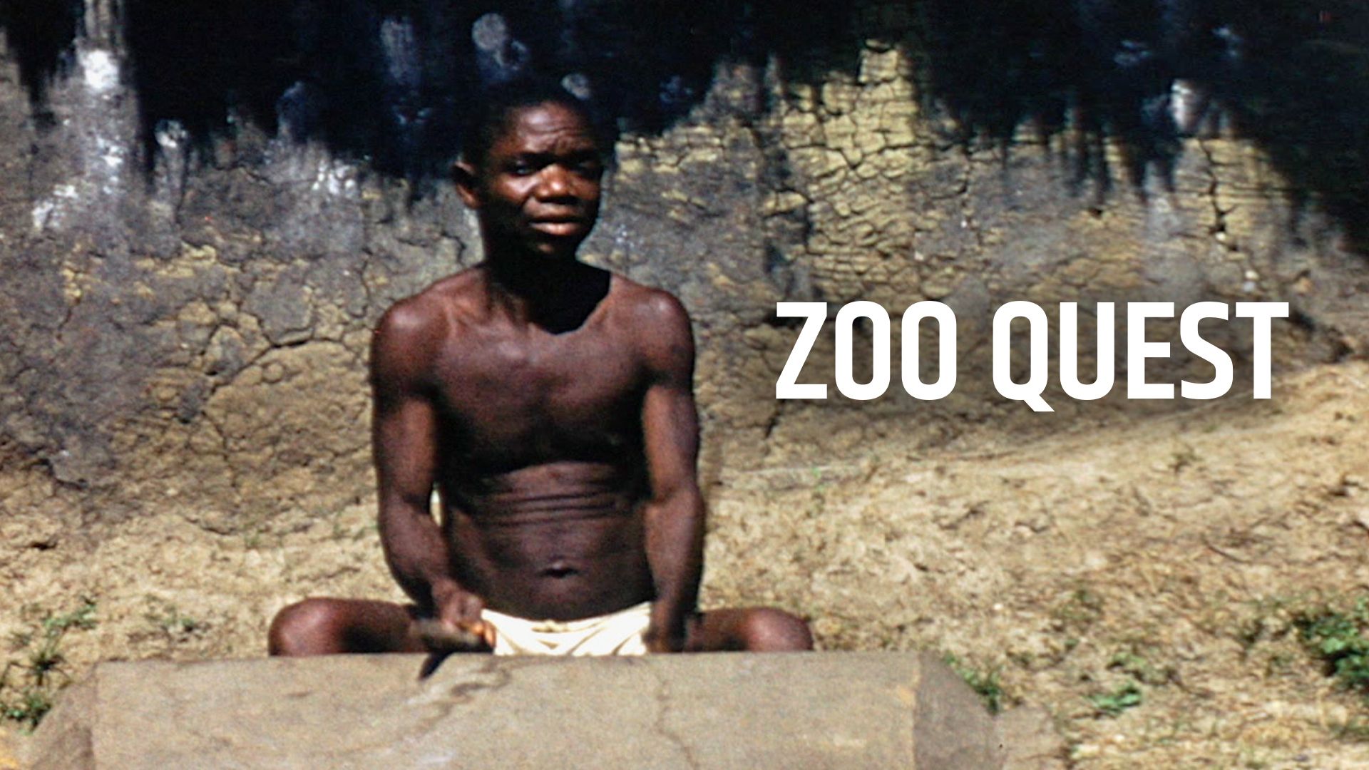 Live Infotainment Channels & Watch Best Documentaries