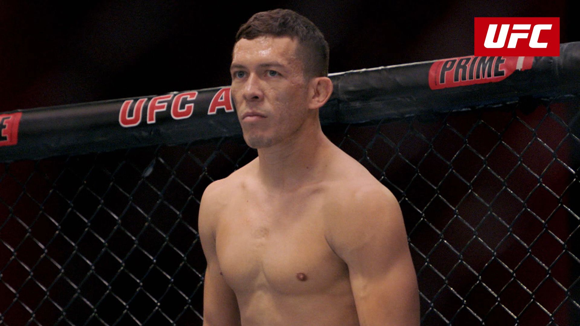 Watch the-ultimate-fighter only on Watcho