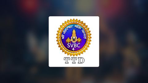 Hindi TV Channels | Hindi TV Online | Hindi News Live